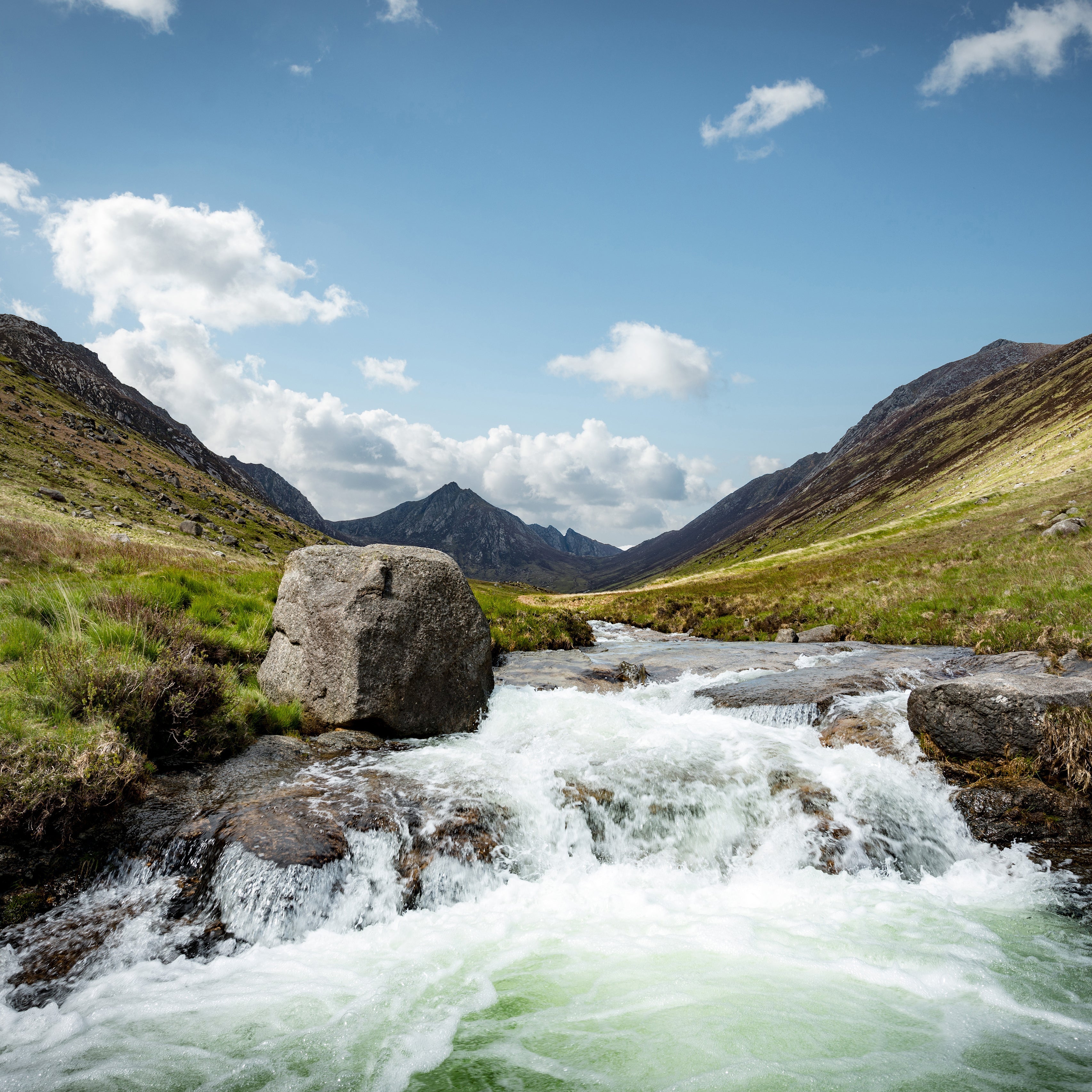 Working With The Arran Trust | ARRAN Sense of Scotland
