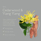 Renew Cedarwood & Ylang Ylang Restoring Muscle Soak – ARRAN Sense of ...